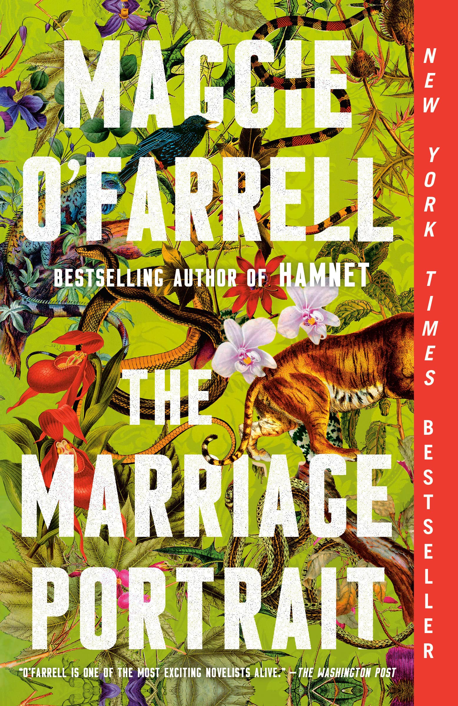 The Marriage Portrait - Bloomsbury Books